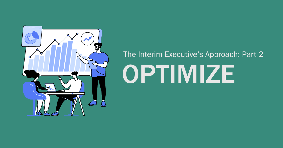 Business Optimization: How to do it Right | InterimExecs